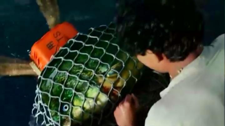 Relax and Ease: Movie: Life of Pi